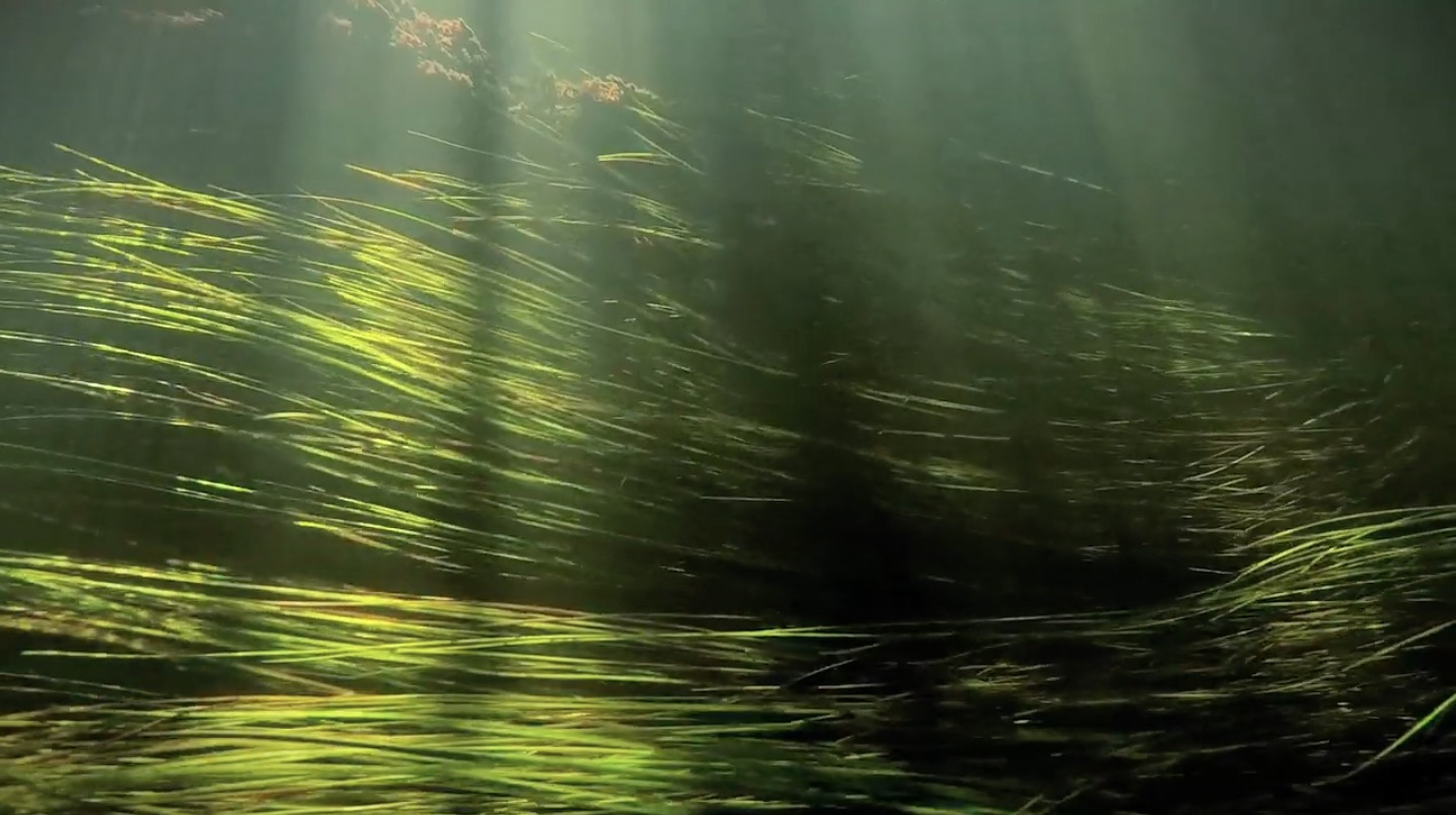 Water Policy and the Future of the Kirkwood Cohansey Aquifer and the ...