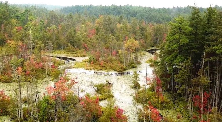 Save the Source - Protecting the Kirkwood Cohansey Aquifer and the ...
